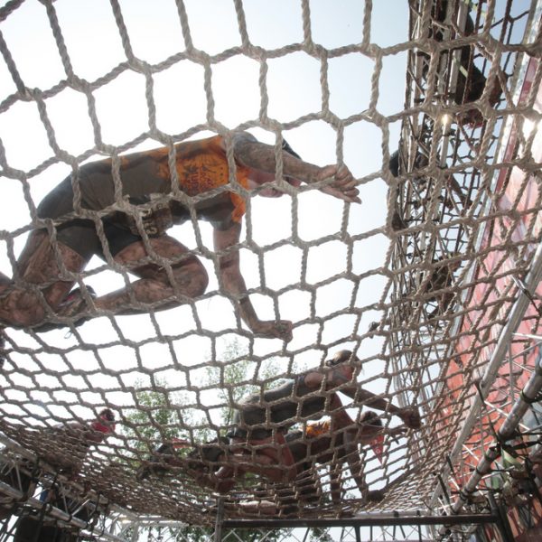 Spider Web Nets | Jammar Nets